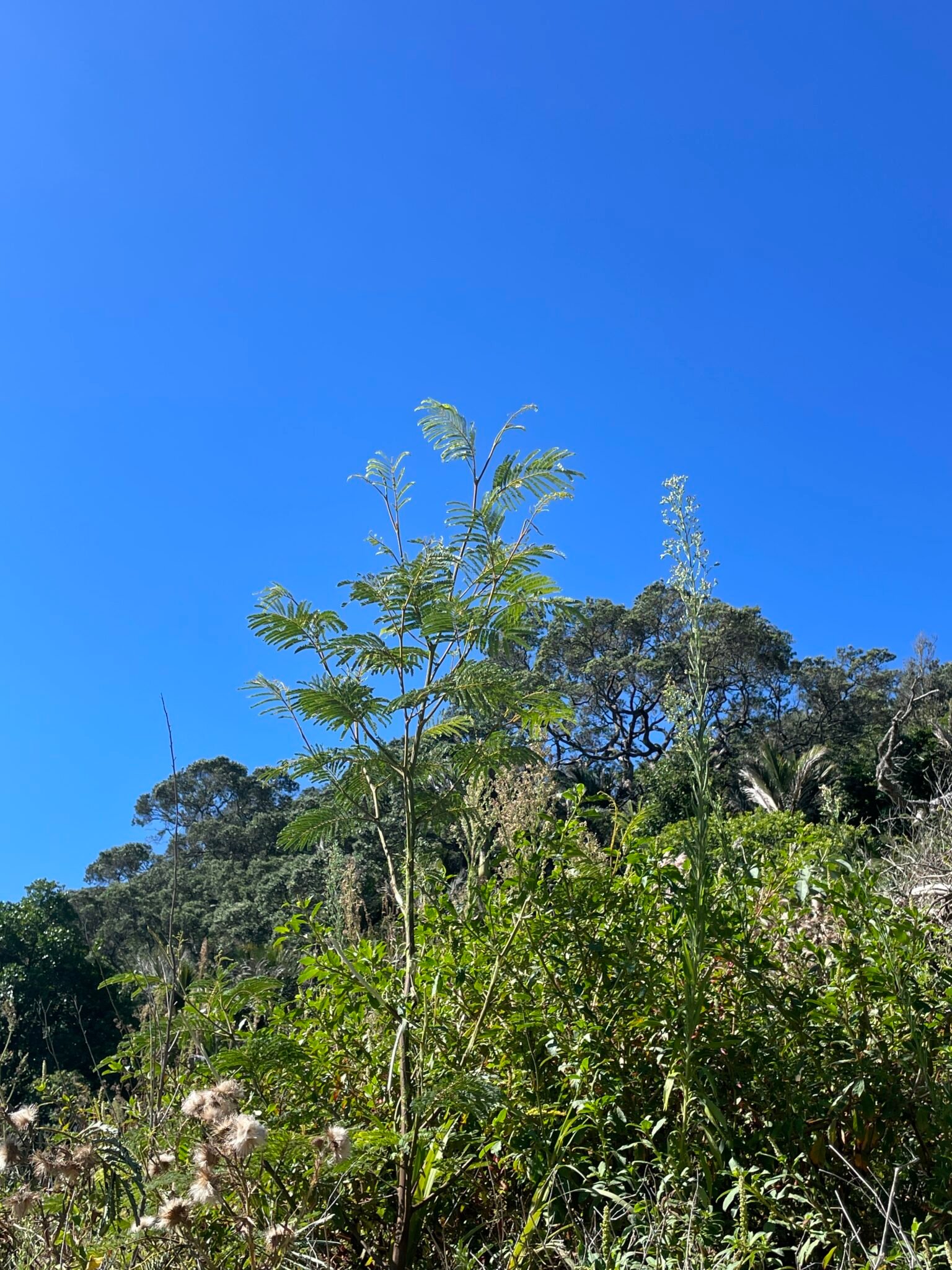 Current Research Projects – dtrg.org